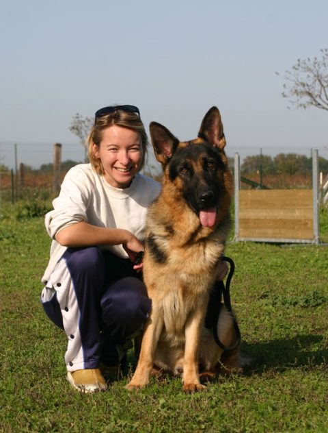What are Breed Clubs? | DBRG - Dog Breeding Reform Group
